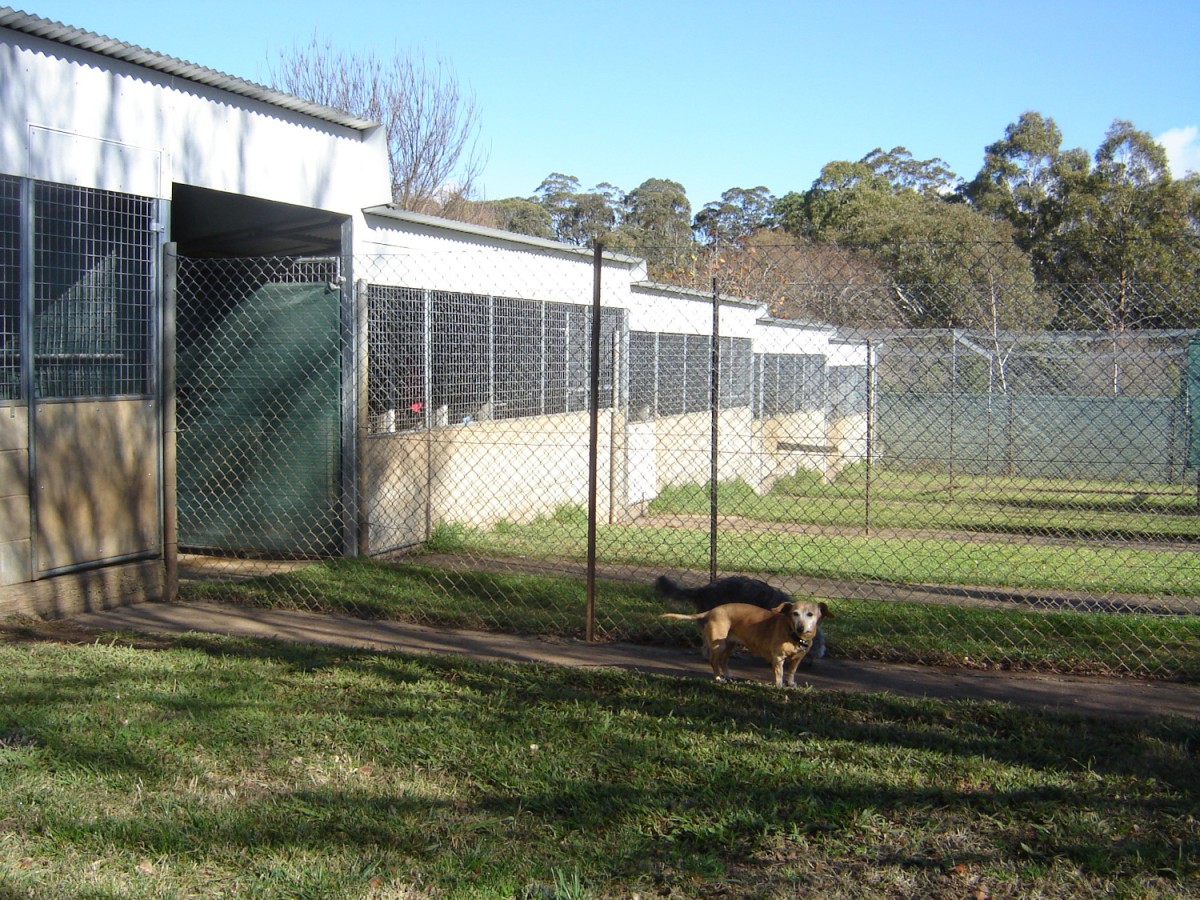 Kennels